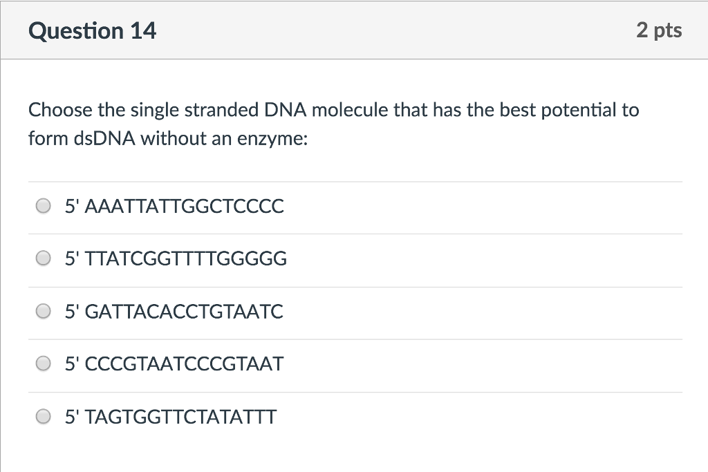 Solved Choose the single stranded DNA molecule that has the | Chegg.com