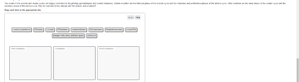 Solved Part A What is the name of the meiotic cell division | Chegg.com Solved Part A What is the name of the meiotic cell division | Chegg.com