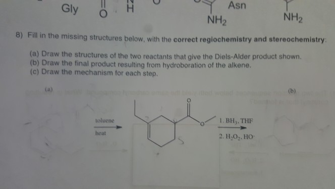 Solved Gly O Asn NH2 NH2 n the missing structures below, | Chegg.com