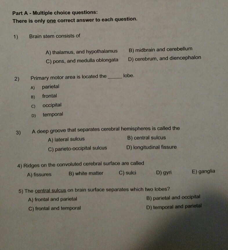 Solved Part A Multiple choice questions: There is only one | Chegg.com
