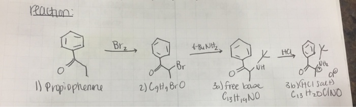 Solved C. QUESTIONS, 11 points 1. 1 the alpha bromination of | Chegg.com