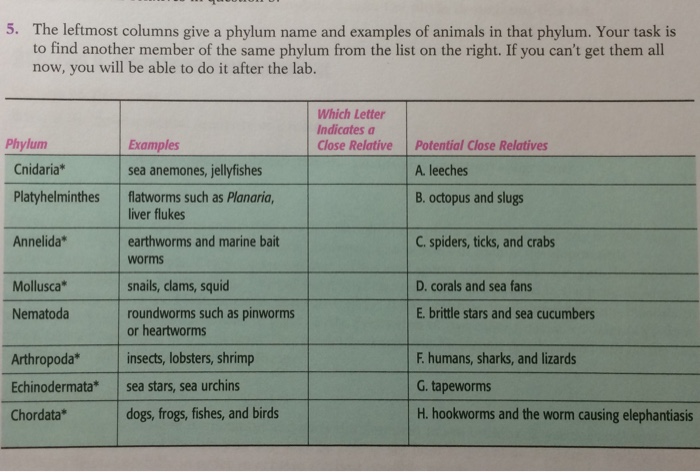 Solved The leftmost columns give a phylum name and examples | Chegg.com