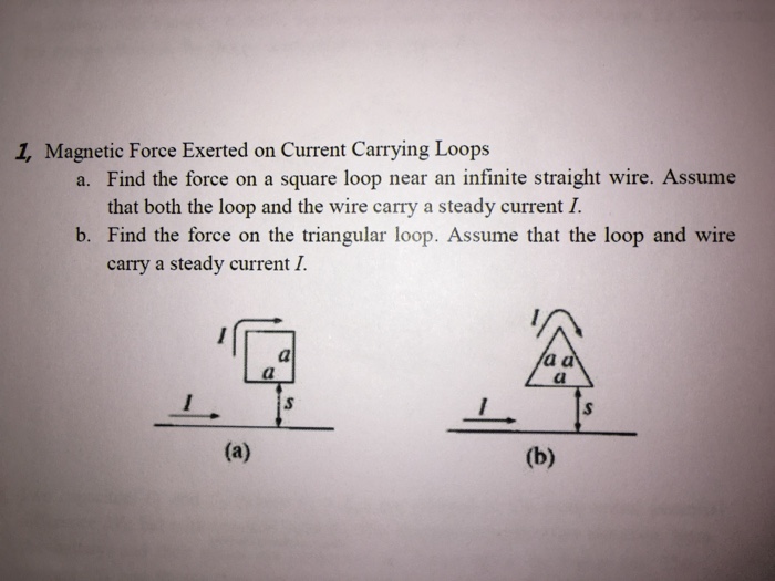 Solved Magnetic Force Exerted on Current Carrying Loops | Chegg.com