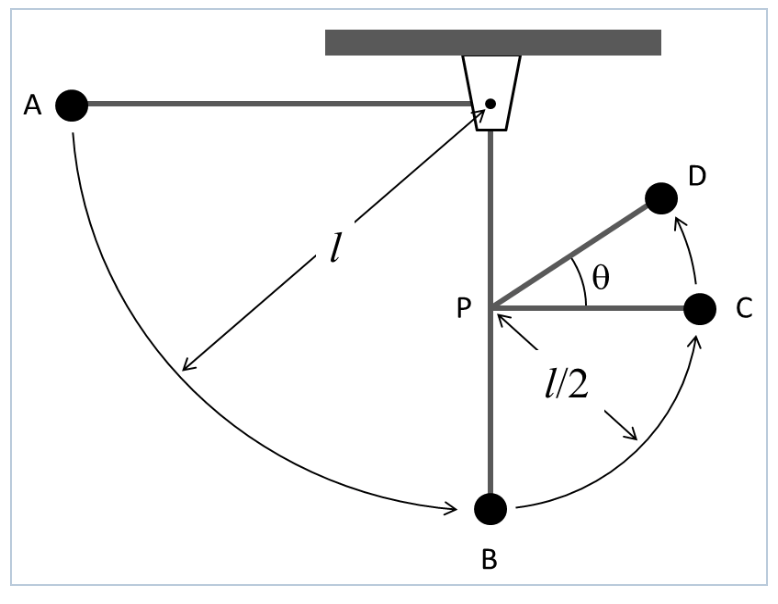 Solved A simple pendulum consists of a light string of | Chegg.com