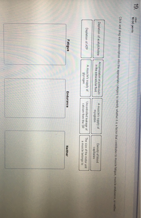 Solved 19 1000 points Click and drag each description into | Chegg.com