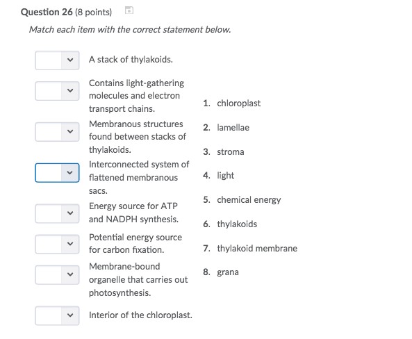 Solved Question 26 (8 points) Match each item with the | Chegg.com