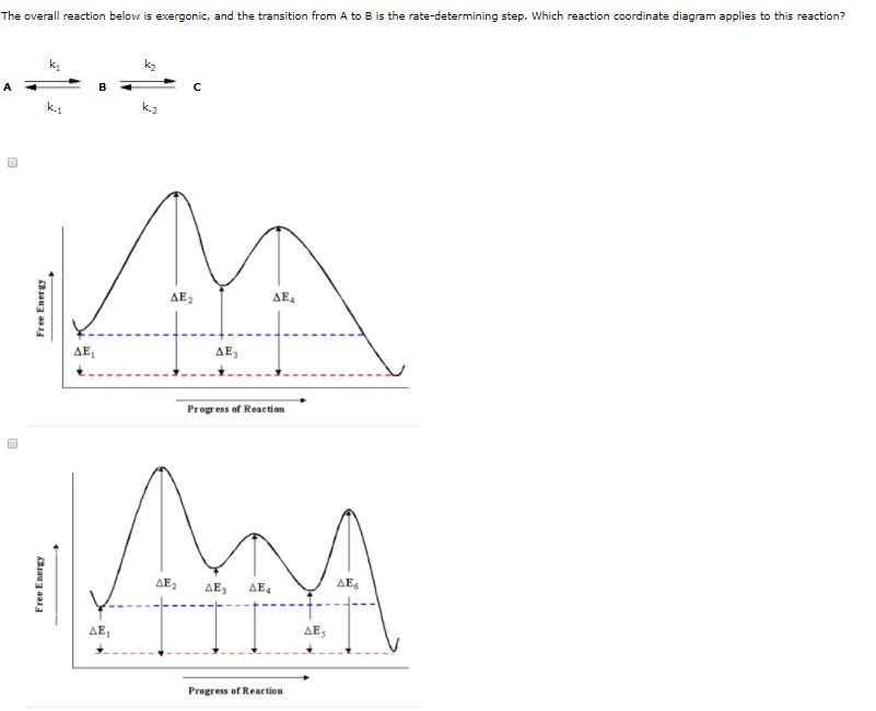 Solved The overall reaction below is exergonic, and the | Chegg.com