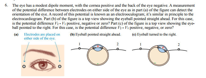 Solved The eye has a modest dipole moment, with the cornea | Chegg.com