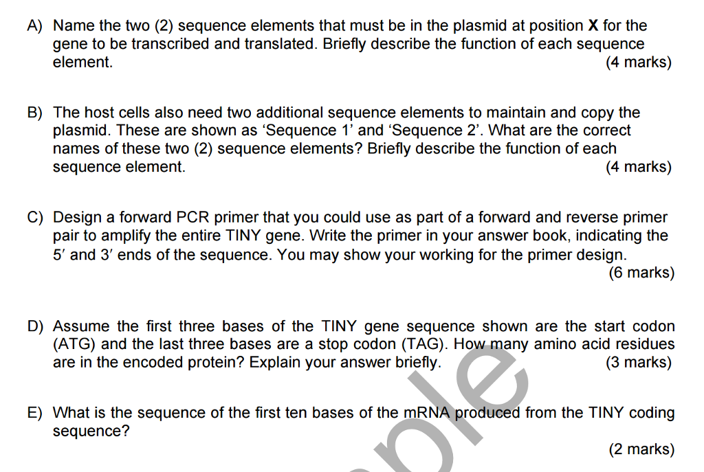 Solved The following is the DNA sequence of a hypothetical | Chegg.com
