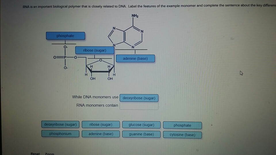 Solved label the features of the example monomer and | Chegg.com