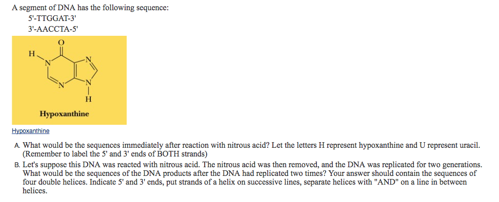 Solved A segment of DNA has the following sequence: | Chegg.com