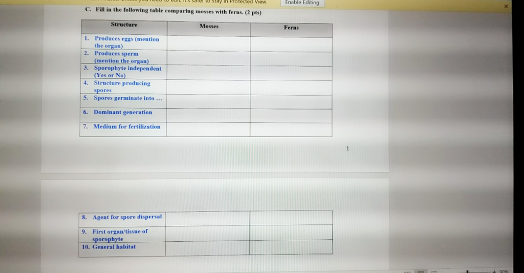 Solved y is sdle to stay in Protected View Enable Editing C. | Chegg.com
