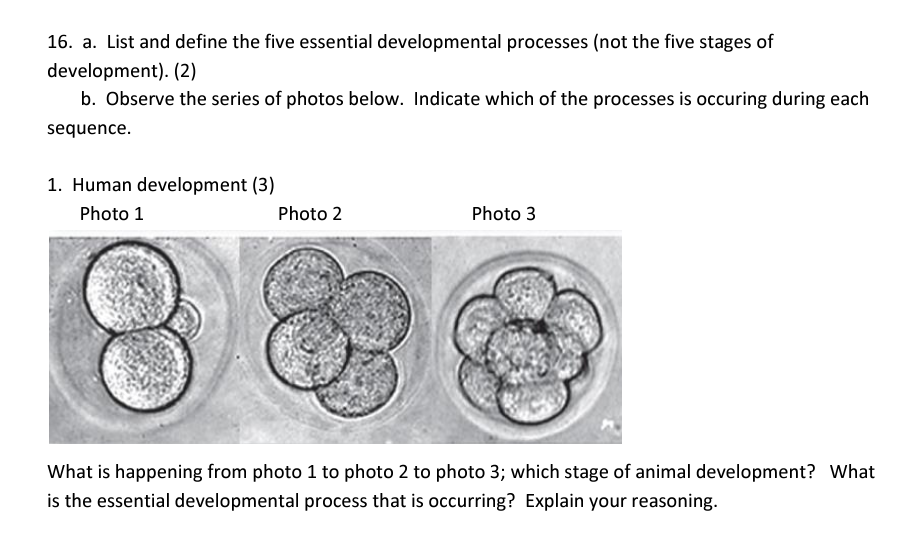 Solved List and define the five essential developmental | Chegg.com