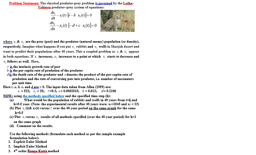 Problem Statement The Classical Predator Prey 