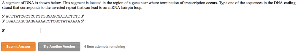 Solved A segment of DNA is shown below. This segment is | Chegg.com