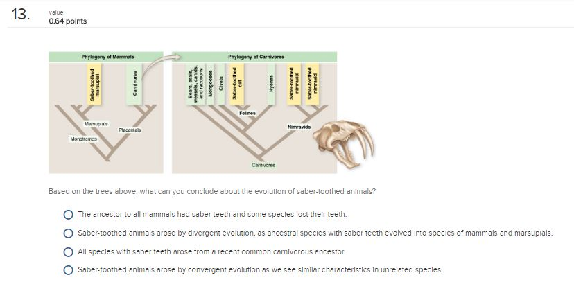 Solved Based on the trees above, what can you conclude | Chegg.com