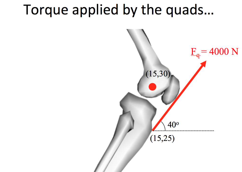 Solved Torque applied by the quads... F 4000 N (15,30 400 | Chegg.com