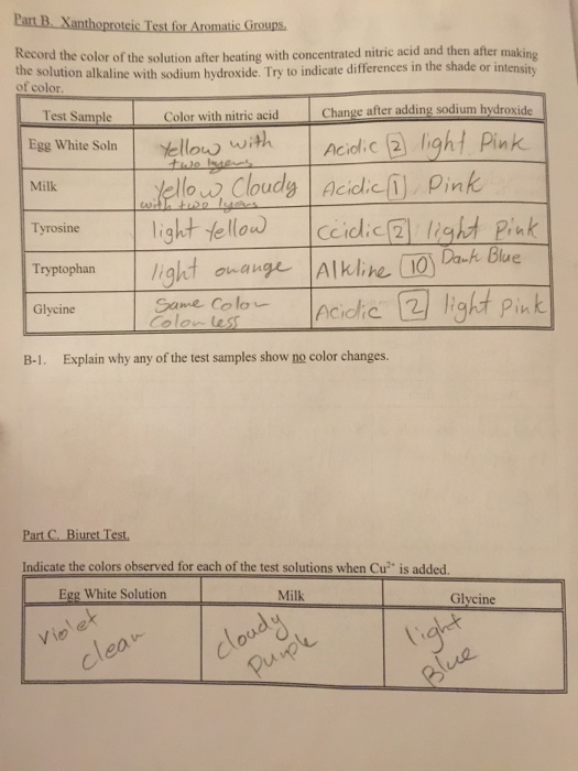 Experiment 8 Data & Report Sheet Part A Precipitation | Chegg.com
