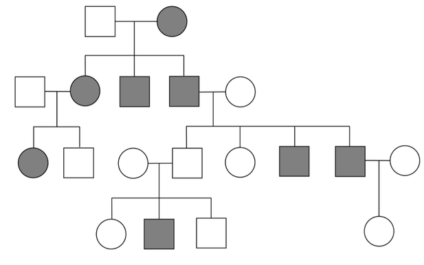 Solved Pedigrees & Inheritance Patterns An inherited trait | Chegg.com