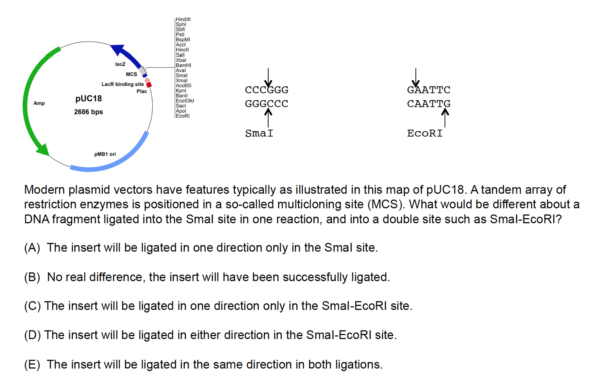 Solved A student cuts a plasmid with the restriction | Chegg.com