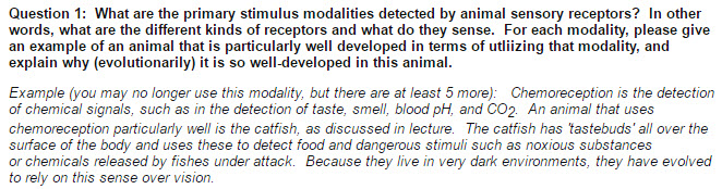 Solved What are the primary stimulus modalities detected by | Chegg.com
