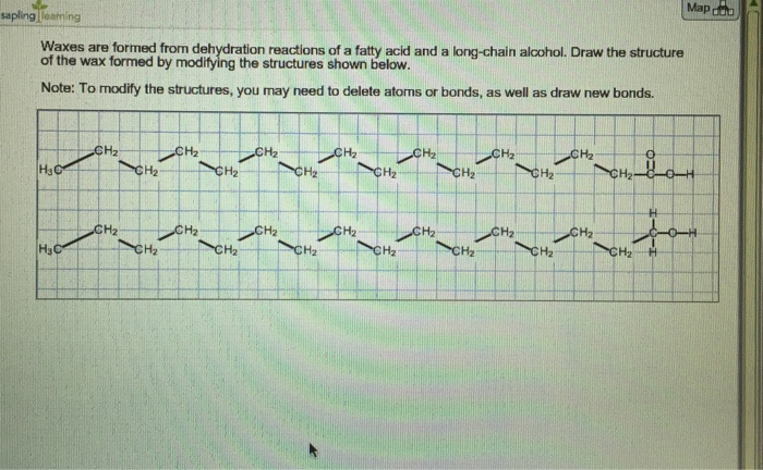 Solved Draw the structure of the wax formed by modifying the | Chegg.com