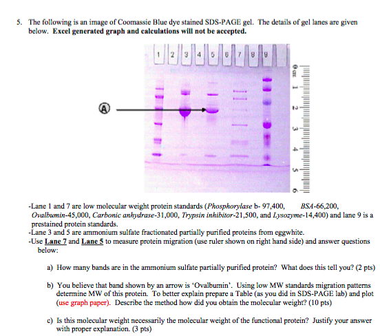 Solved 5. The following is an image of Coomassie Blue dye | Chegg.com