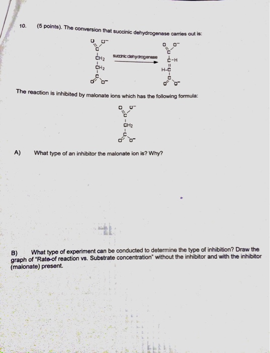 Solved The conversion that succored dehydrogenate carries | Chegg.com