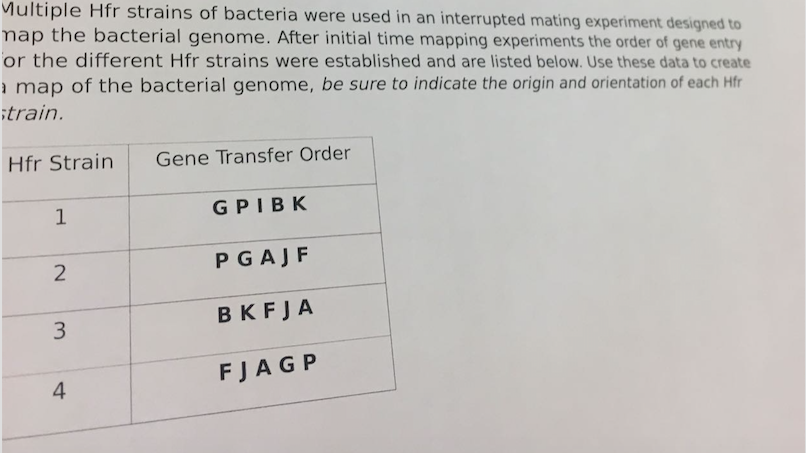 Solved Multiple Hfr strains of bacteria were used in an | Chegg.com