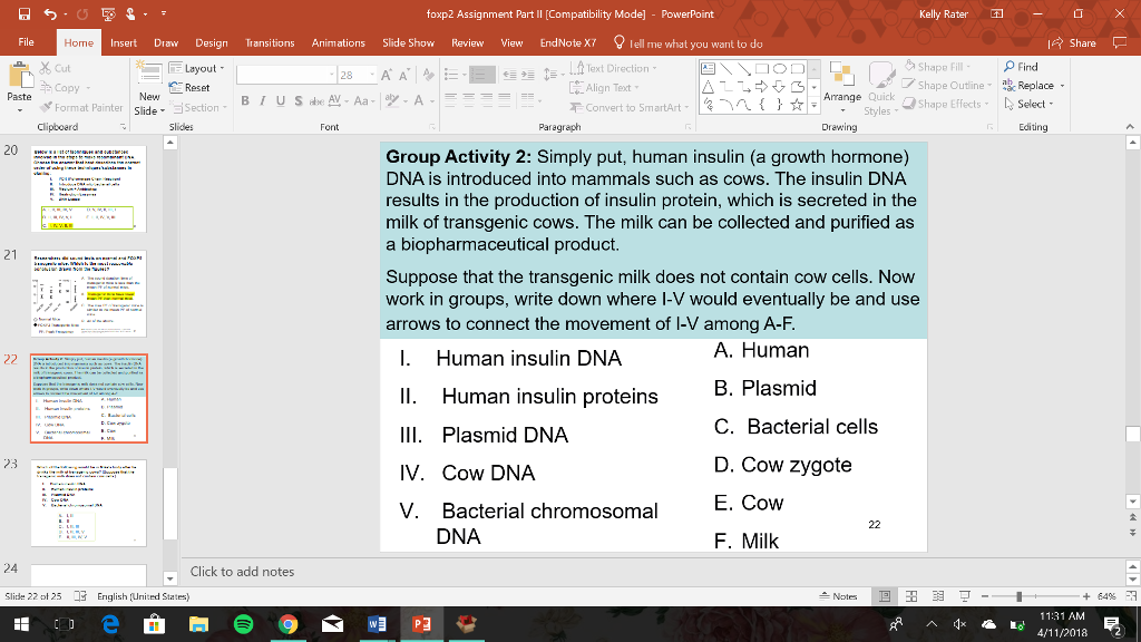 Solved foxp2 Assignment Part II [Compatibility Mode] - | Chegg.com