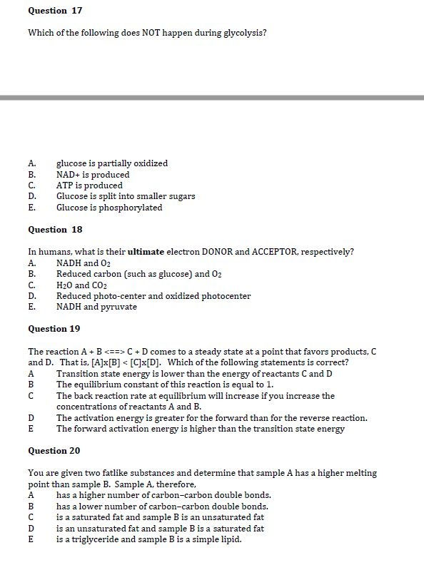 Solved Which of the following does NOT happen during | Chegg.com