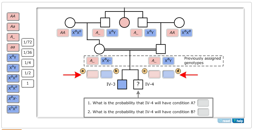 Solved Adjusting probabilities based on new information | Chegg.com