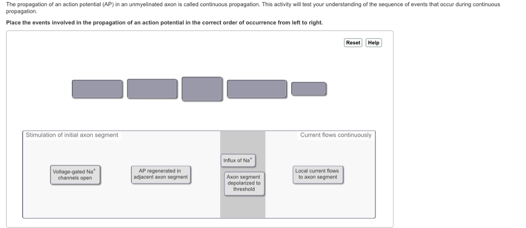 Solved The propagation of an action potential (AP) in an | Chegg.com