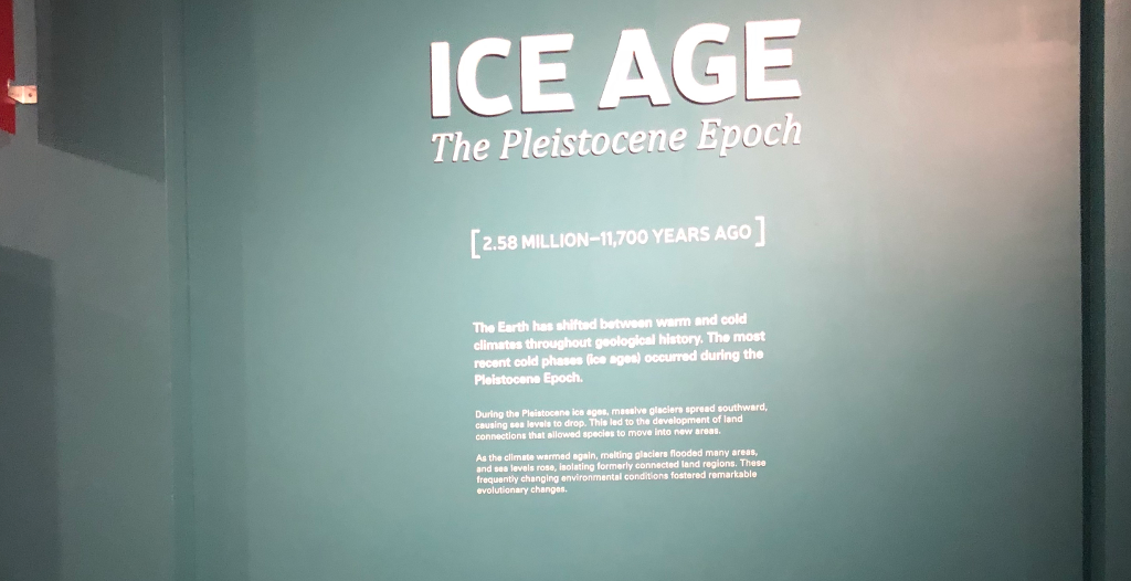 Solved ICE AGE The Pleistocene Epoch [2.58 MILLION-1,700 | Chegg.com