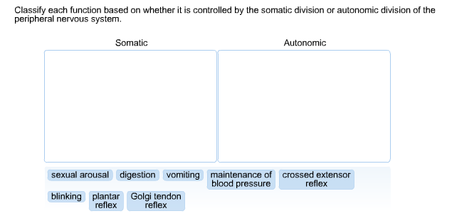 Solved Classify each function based on whether it is | Chegg.com