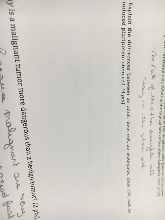 Solved Help with 2 question in cell biology | Chegg.com