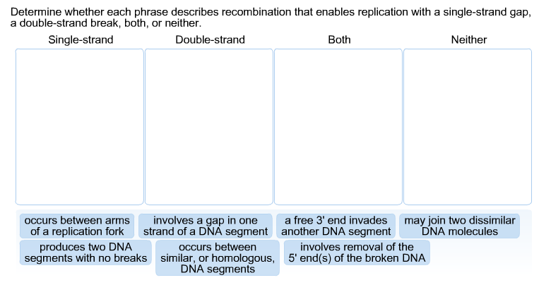 Solved Hint: Recombination involves the crossing over | Chegg.com