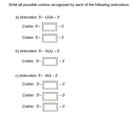 Solved Write all possible codons recognized by each of the | Chegg.com