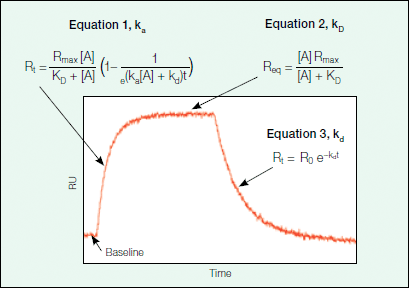 Solved 1. How do you graphically estimate KD from a SPR | Chegg.com
