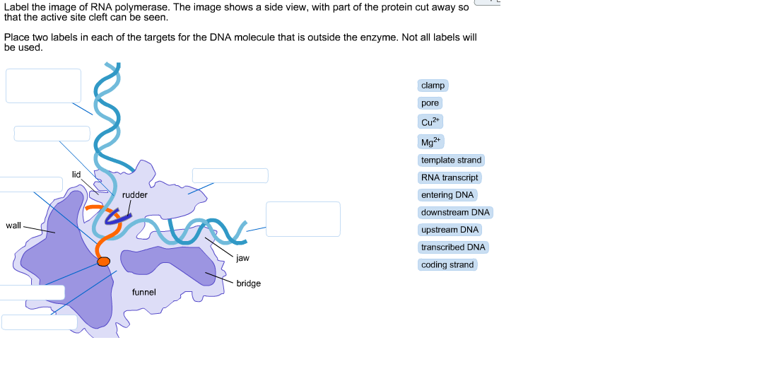 Solved Hi guys, could you help me on this question? The | Chegg.com
