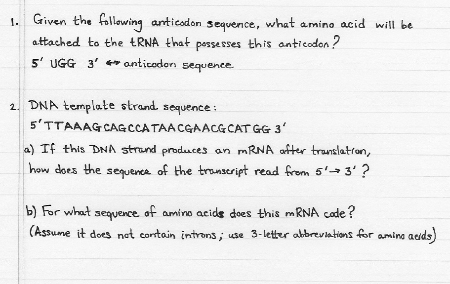 Solved Given the following anticodon sequence, what amino | Chegg.com