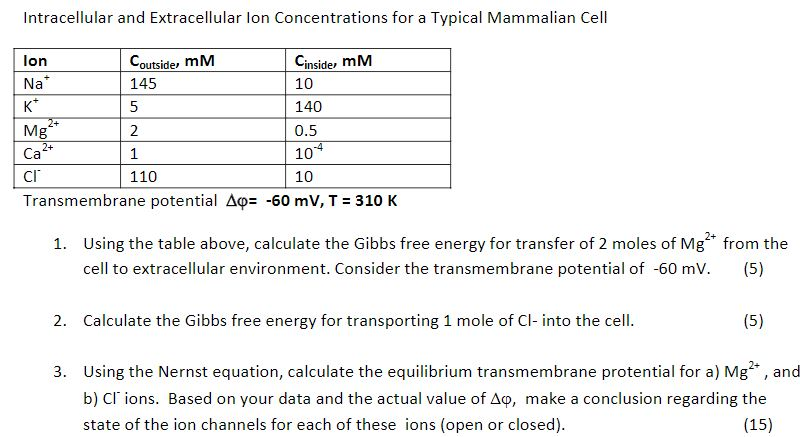 Intracellular And Extracellular Ion Concentrations