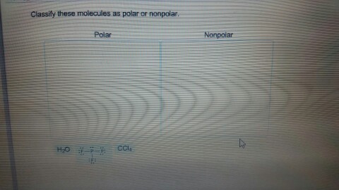 Solved Classify these molecules as polar & nonpolar. | Chegg.com