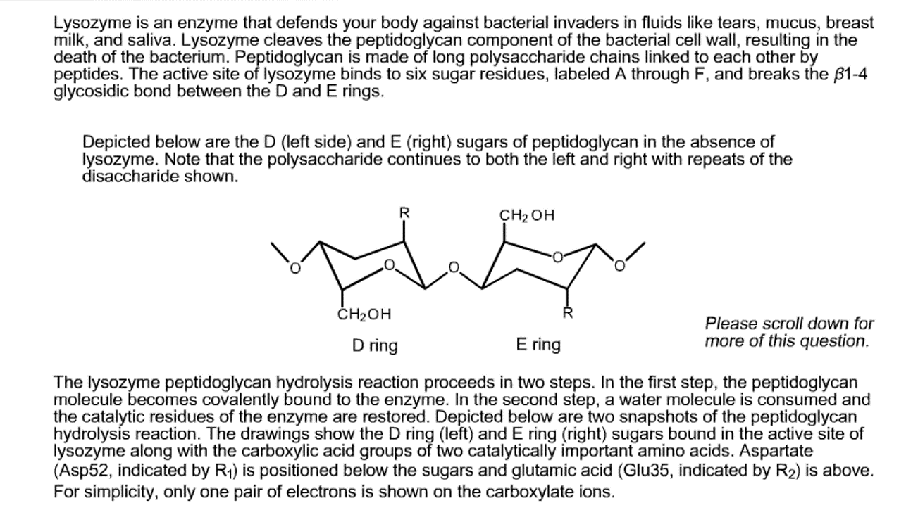 Solved Lysozyme is an enzyme that defends your body against | Chegg.com