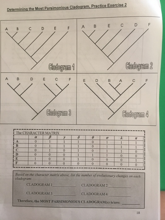 Solved Based on the character matrix above, list the number | Chegg.com