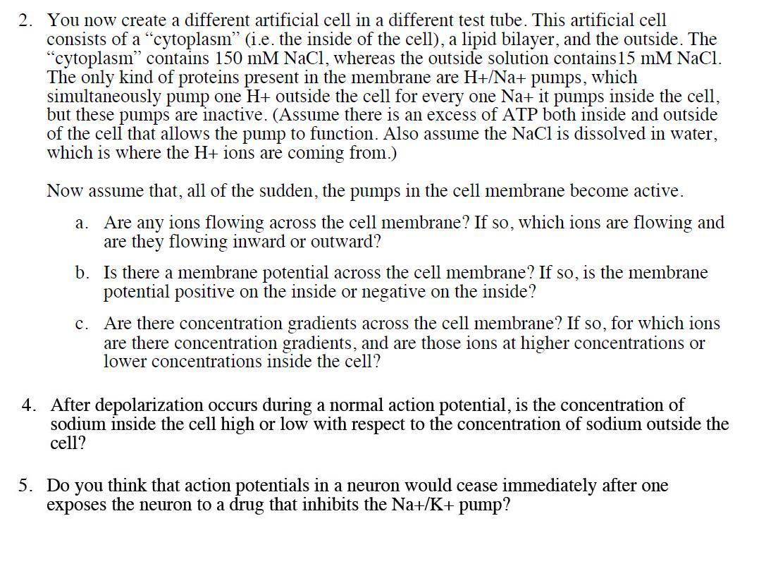 Solved 2. You now create a different artificial cell in a | Chegg.com