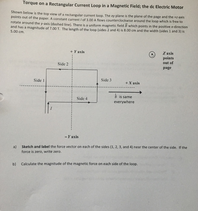 Solved Torque on a Rectangular current Loop in a Magnetic | Chegg.com