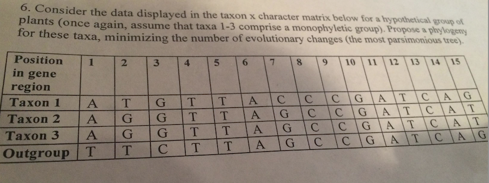 Solved 6. Consider the data displayed in the taxon x | Chegg.com