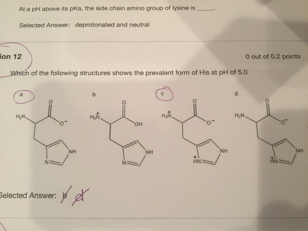 Solved At a pH above its pKa, the side chain amino group of | Chegg.com