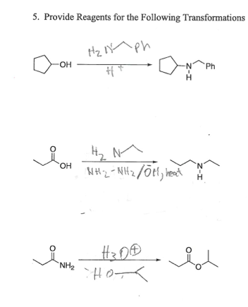 Solved 5. Provide Reagents for the Following Transformations | Chegg.com